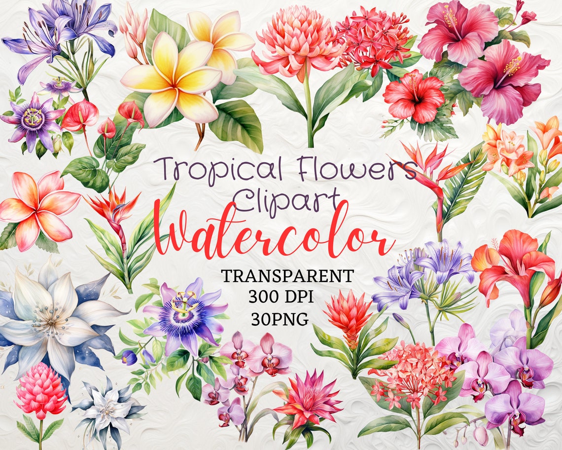 Watercolor Tropical Flowers Clipart 30 PNG Cute Floral Clipart Instant ...