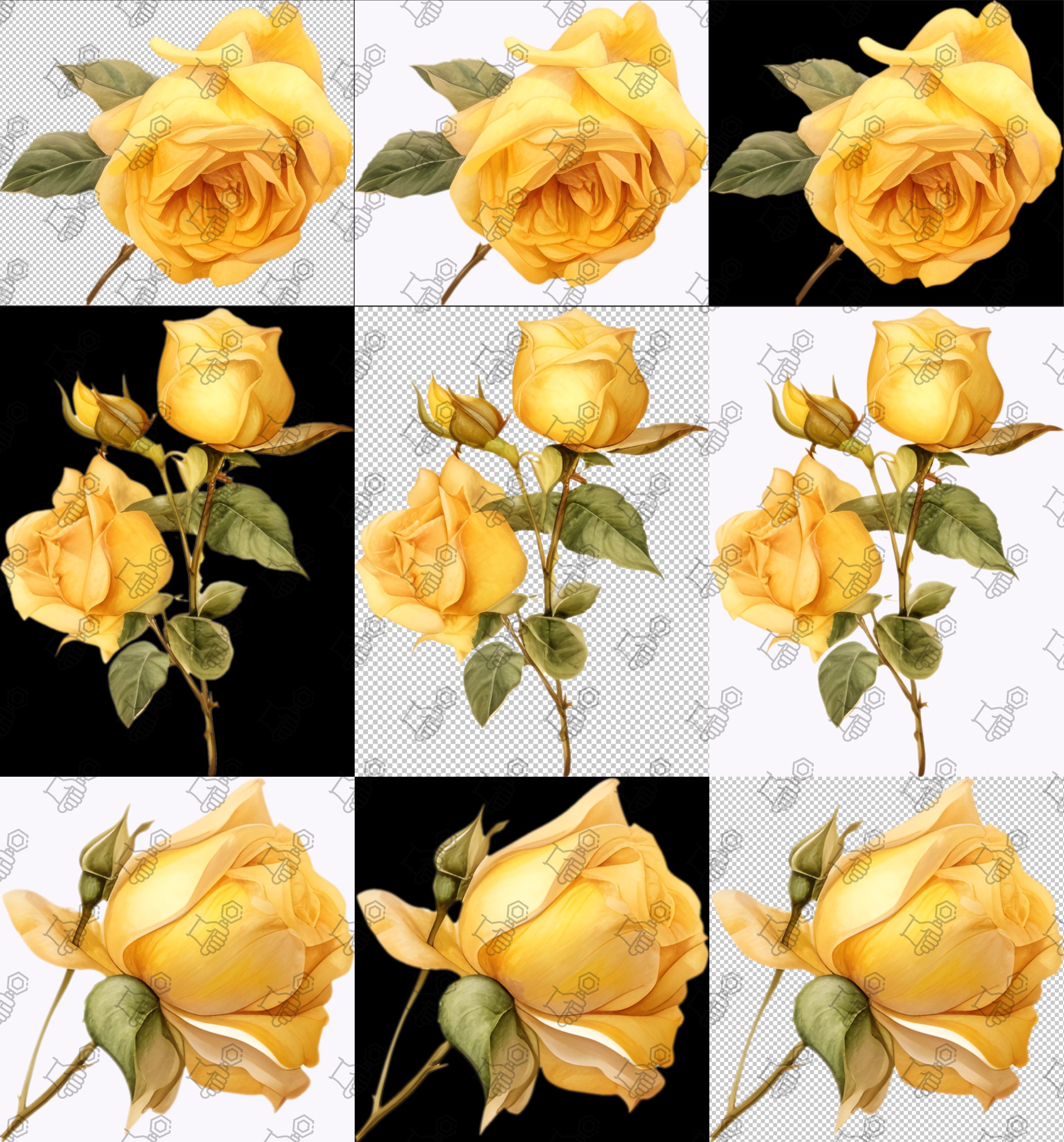 Watercolor Yellow Roses Clipart Bundle 10 PNG Digital Download High ...
