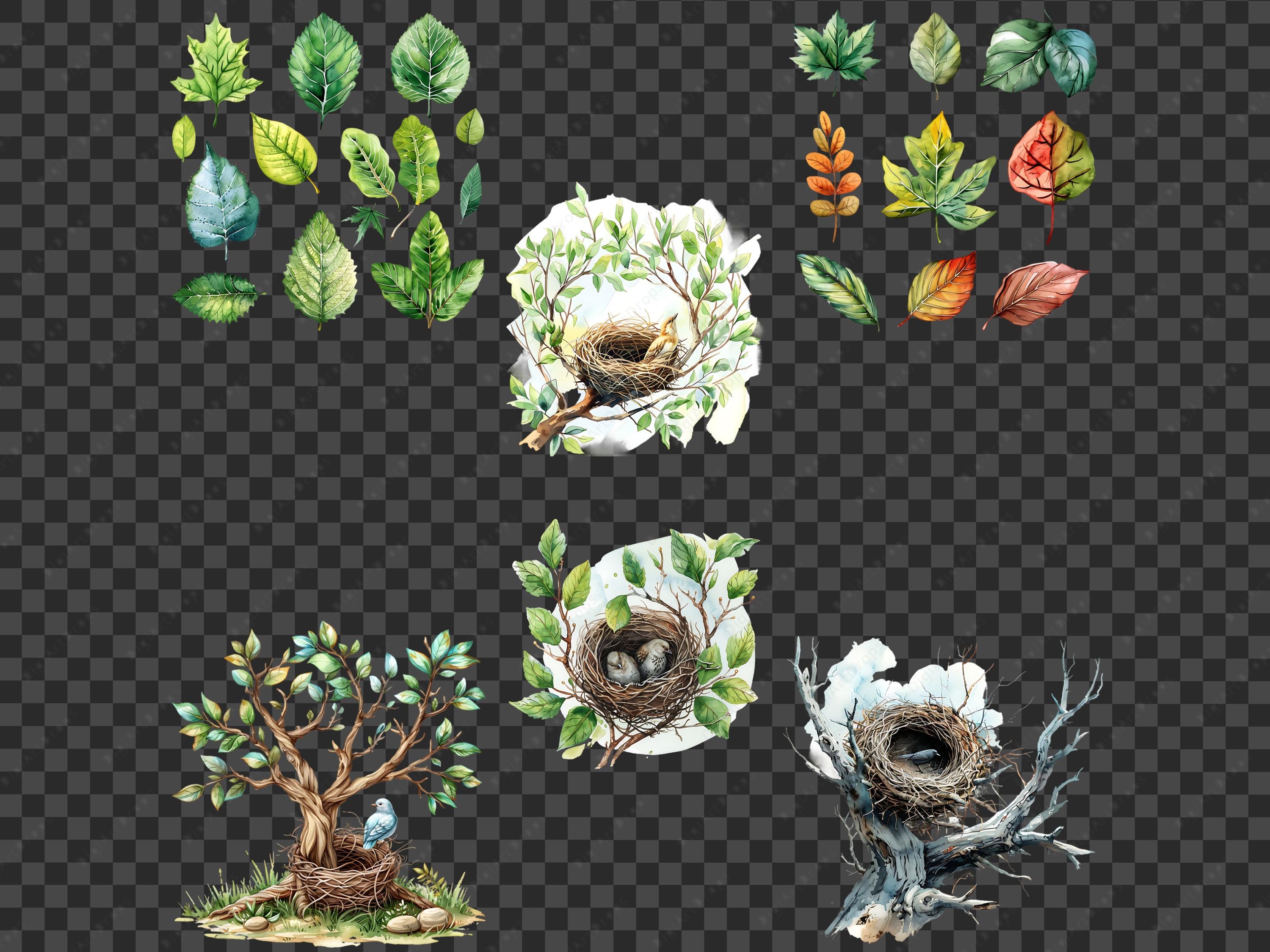 Forest Elements Clipart Bundle Trees Leaves Autumn Nature Digital Art ...