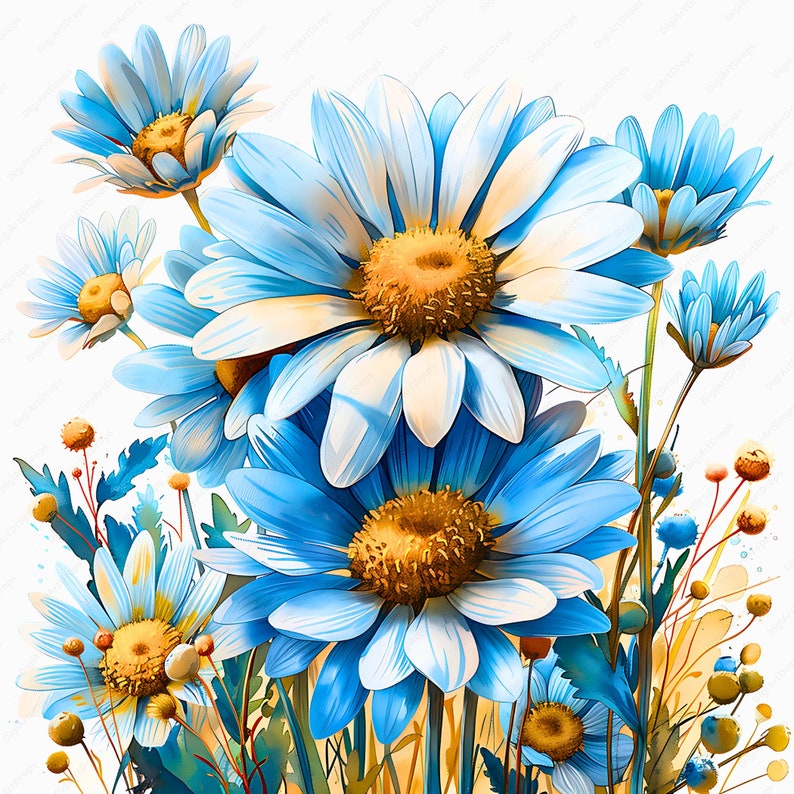 Watercolor Daisy Clipart: White, Yellow & Blue Floral Designs (JPG ...