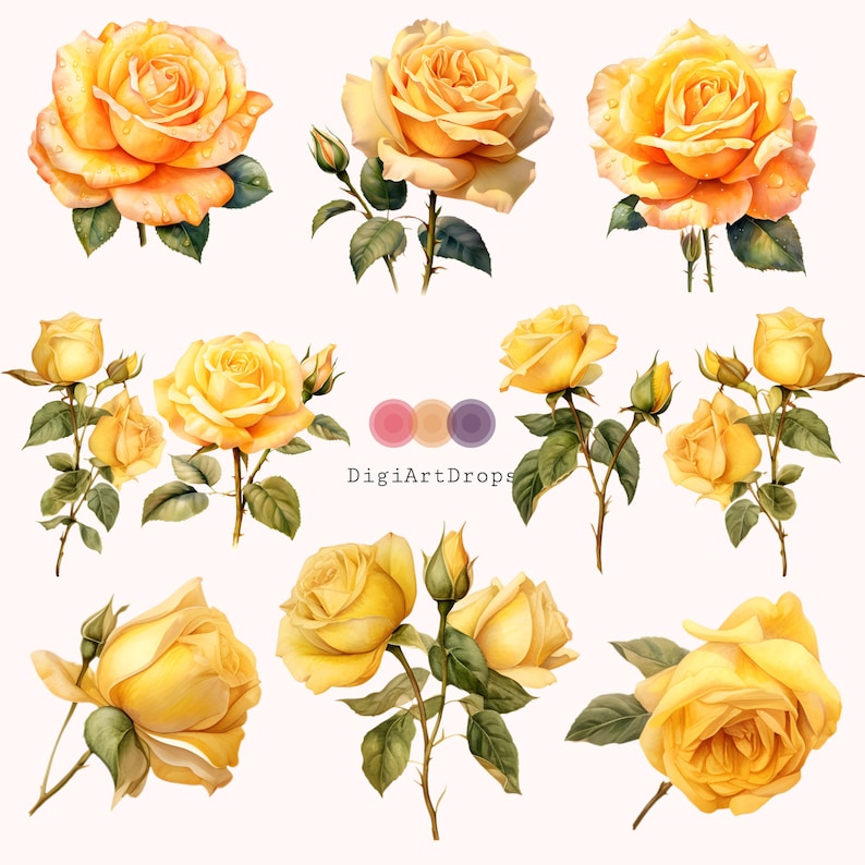 Watercolor Yellow Roses Clipart Bundle 10 PNG Digital Download High ...