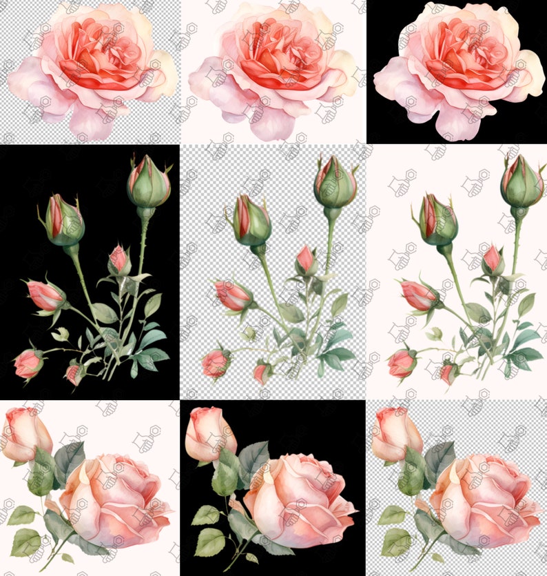 Watercolor Pink Roses Clipart Bundle 10 PNG Digital Download High ...