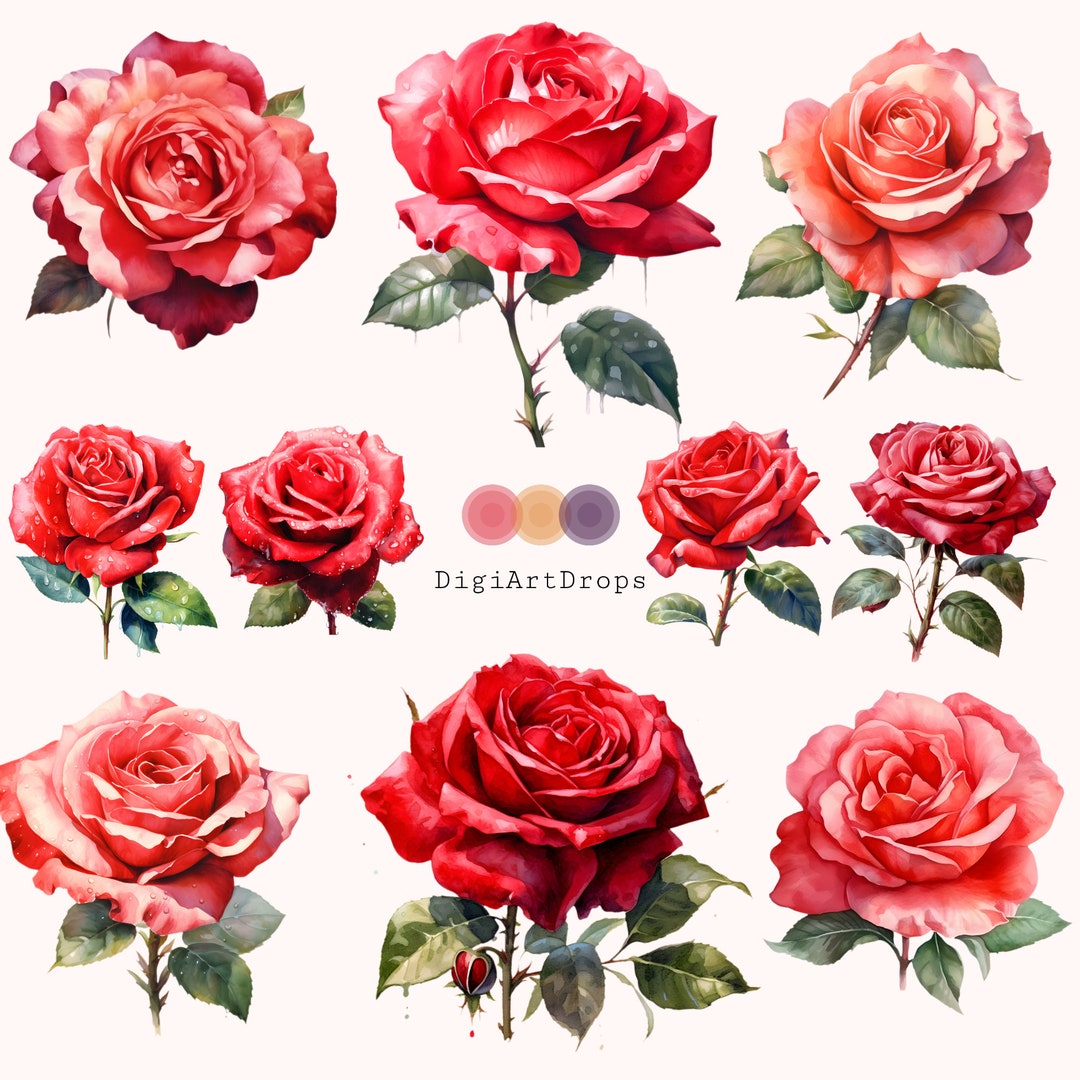 Watercolor Red Roses Clipart Bundle 10 PNG Digital Download High ...
