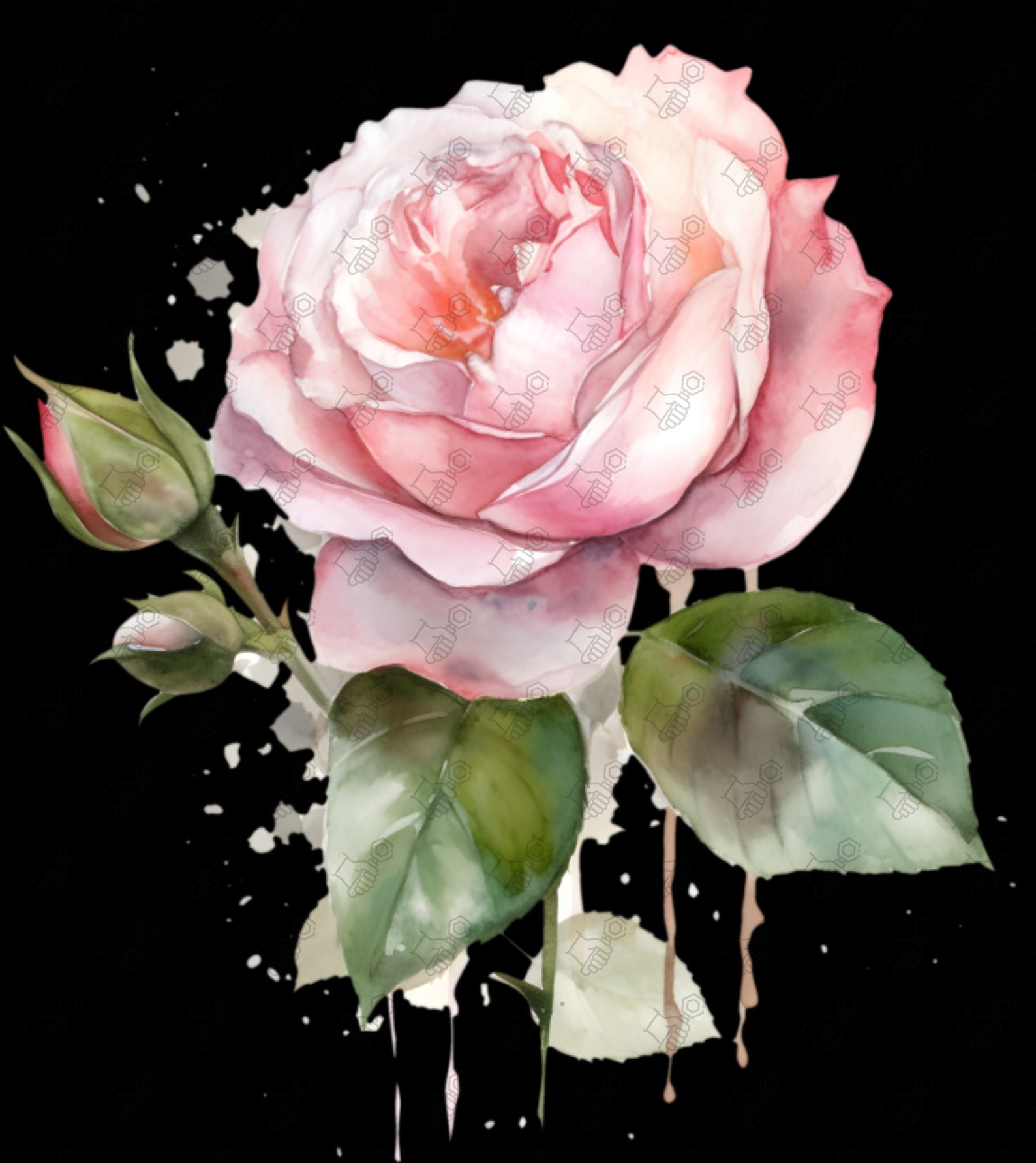 Watercolor Pink Roses Clipart Bundle 10 PNG Digital Download High ...