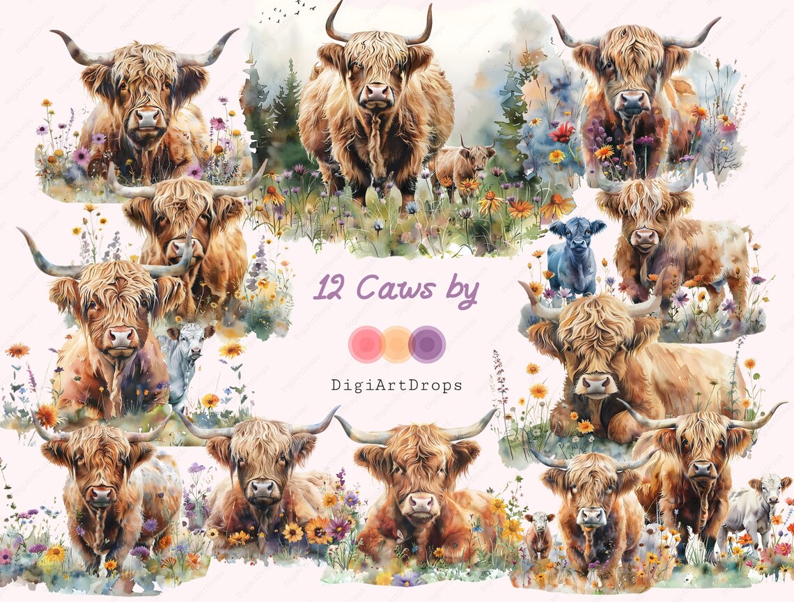 Highland Cow Watercolor Clipart Bundle 12 PNG Digital Download ...