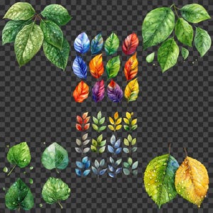 Forest Elements Clipart Bundle Trees Leaves Autumn Nature Digital Art ...