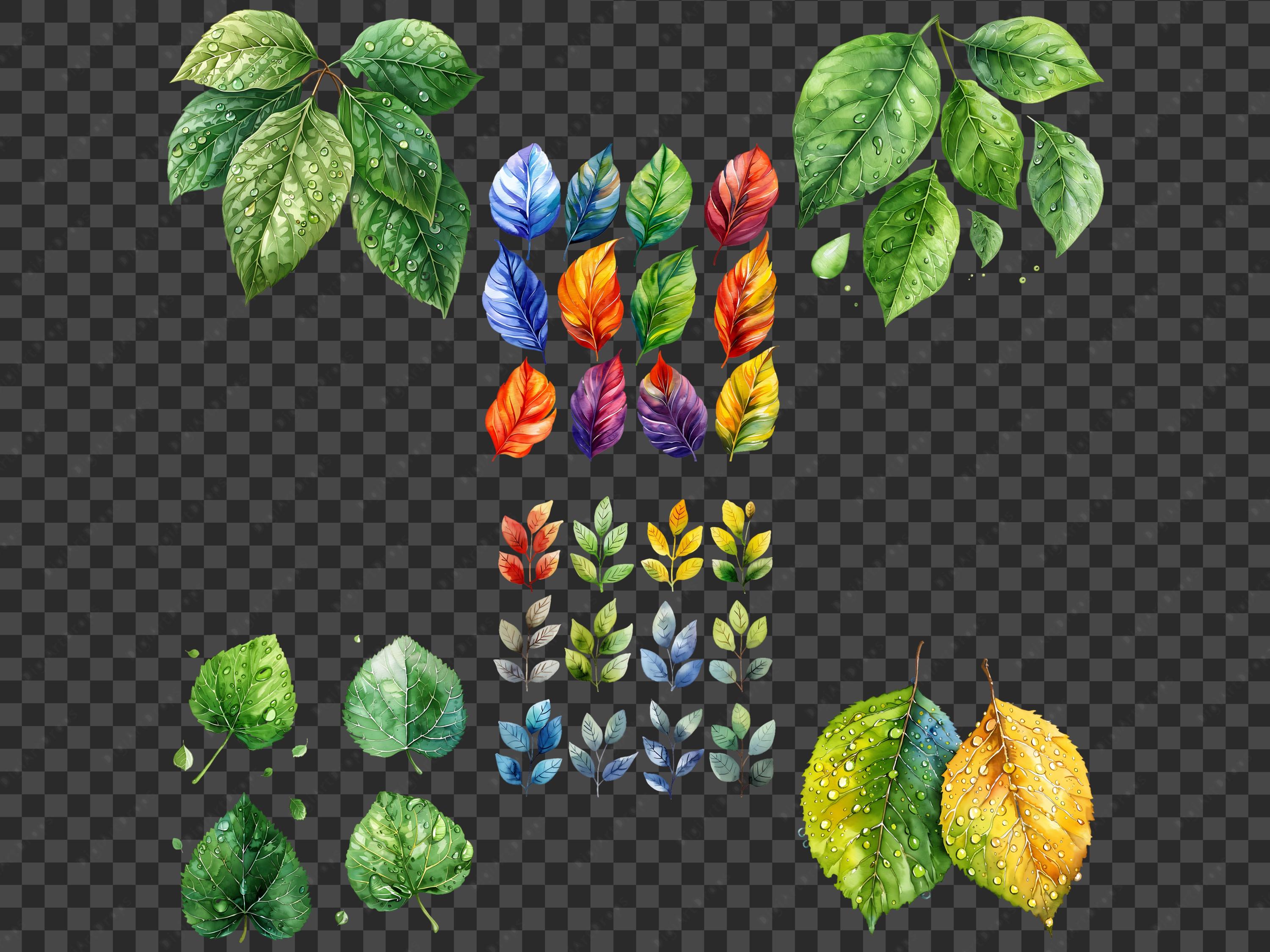 Forest Elements Clipart Bundle Trees Leaves Autumn Nature Digital Art ...