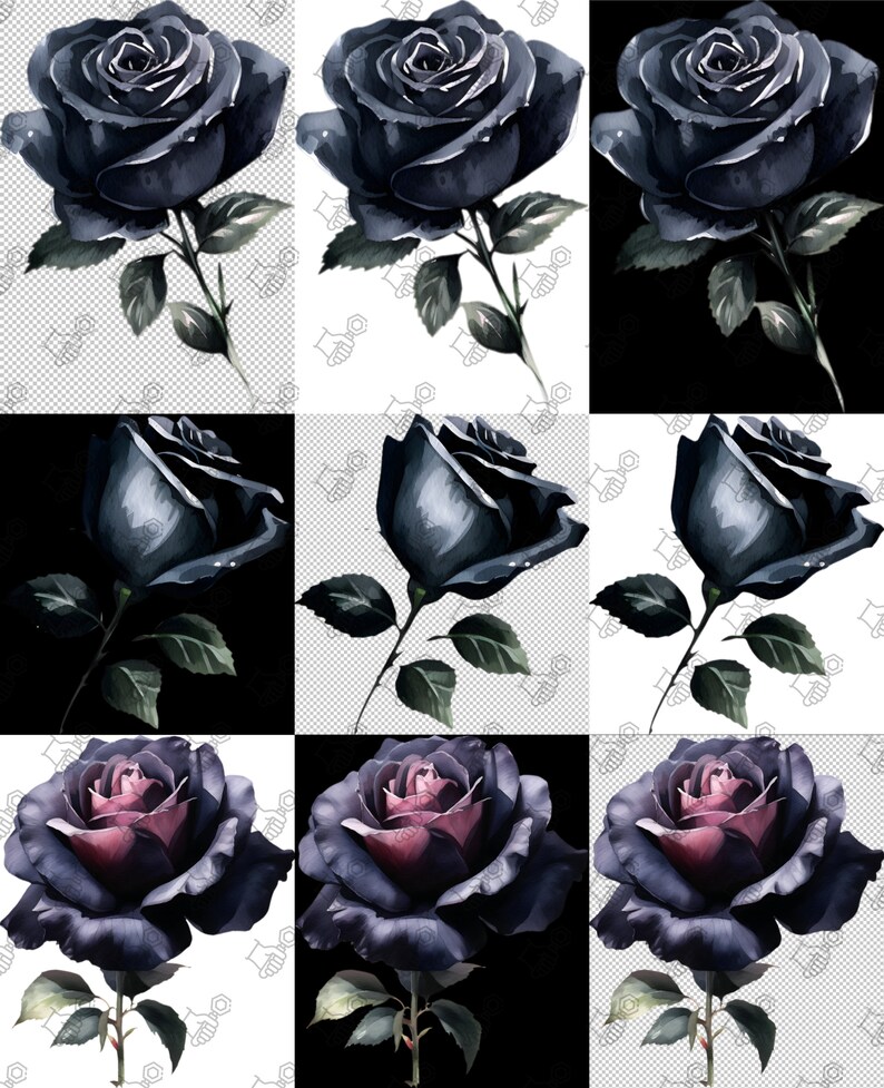 Watercolor Black Roses Clipart Bundle 10 PNG Digital Download High ...