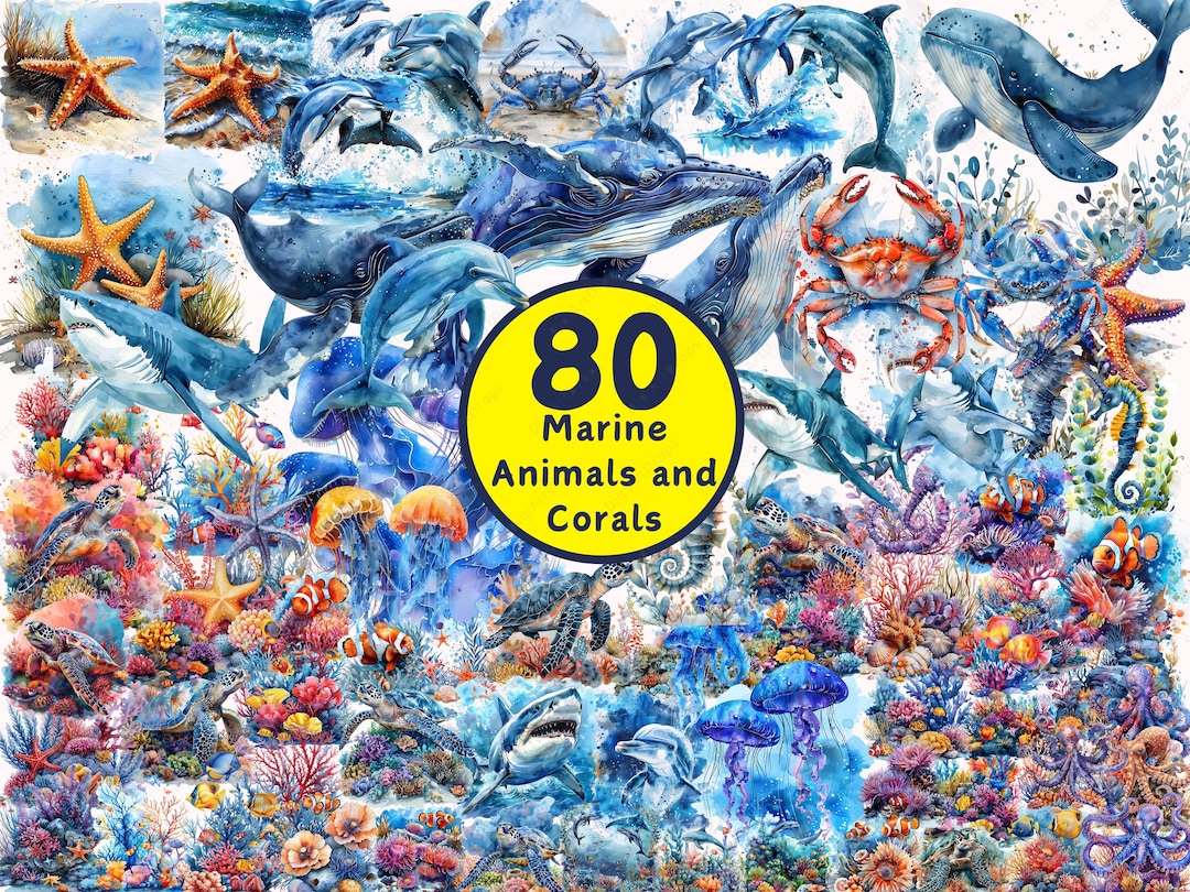 Ocean Life Marine Animals Clipart Bundle Coral Reef Sea Creatures ...