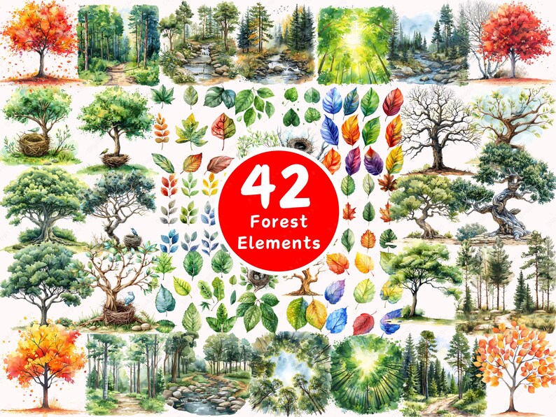 Forest Elements Clipart Bundle Trees Leaves Autumn Nature Digital Art ...