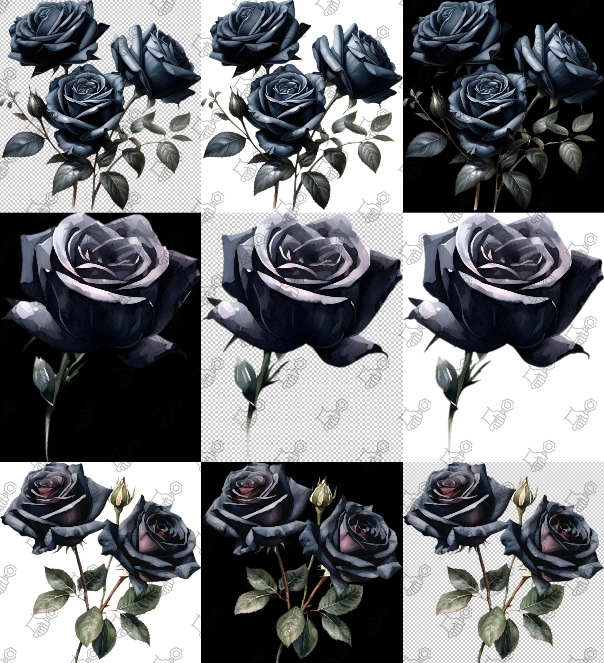 Watercolor Roses, Black Roses Clipart, Watercolor Flowers, Commercial ...