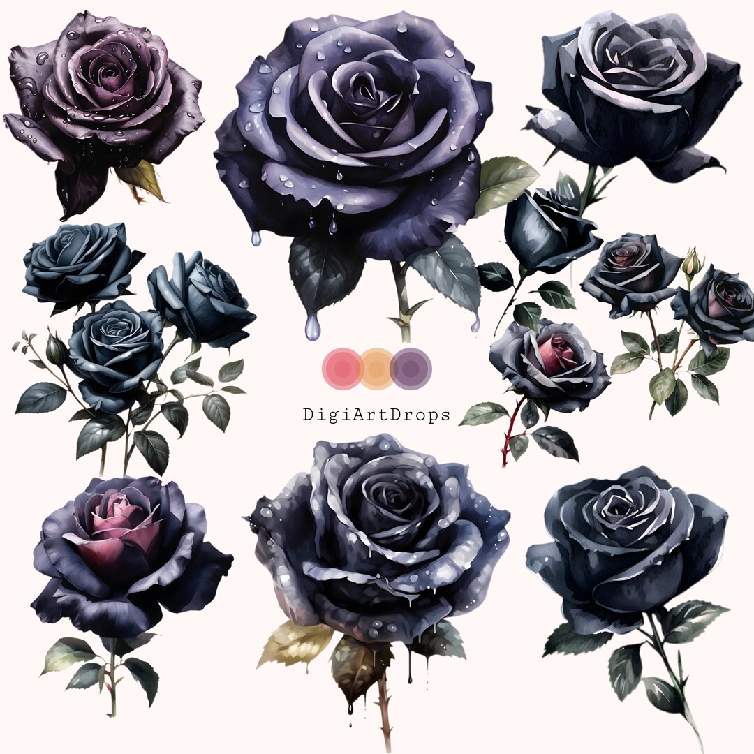 Watercolor Black Roses Clipart Bundle 10 PNG Digital Download High ...