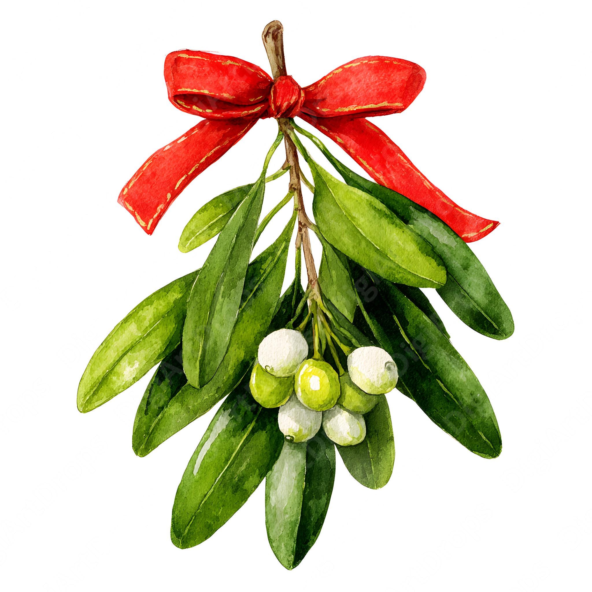 Watercolor Mistletoe Clipart - Christmas Greenery, Red Bow, White ...