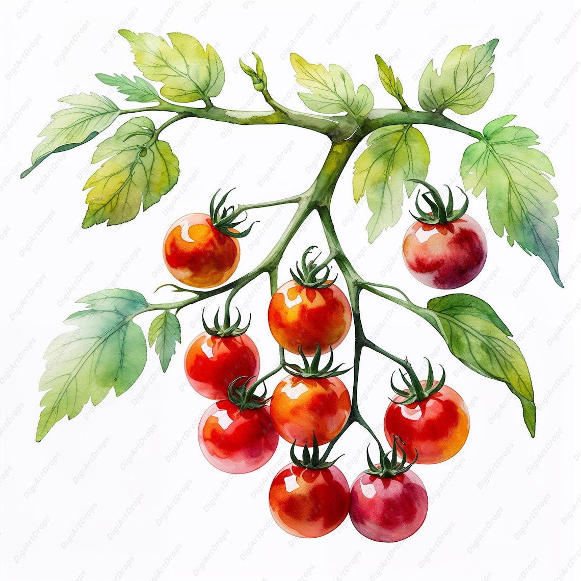 Cherry Tomato Clipart, Food Art Jpgs, Rustic Kitchen Decor, Botanical ...