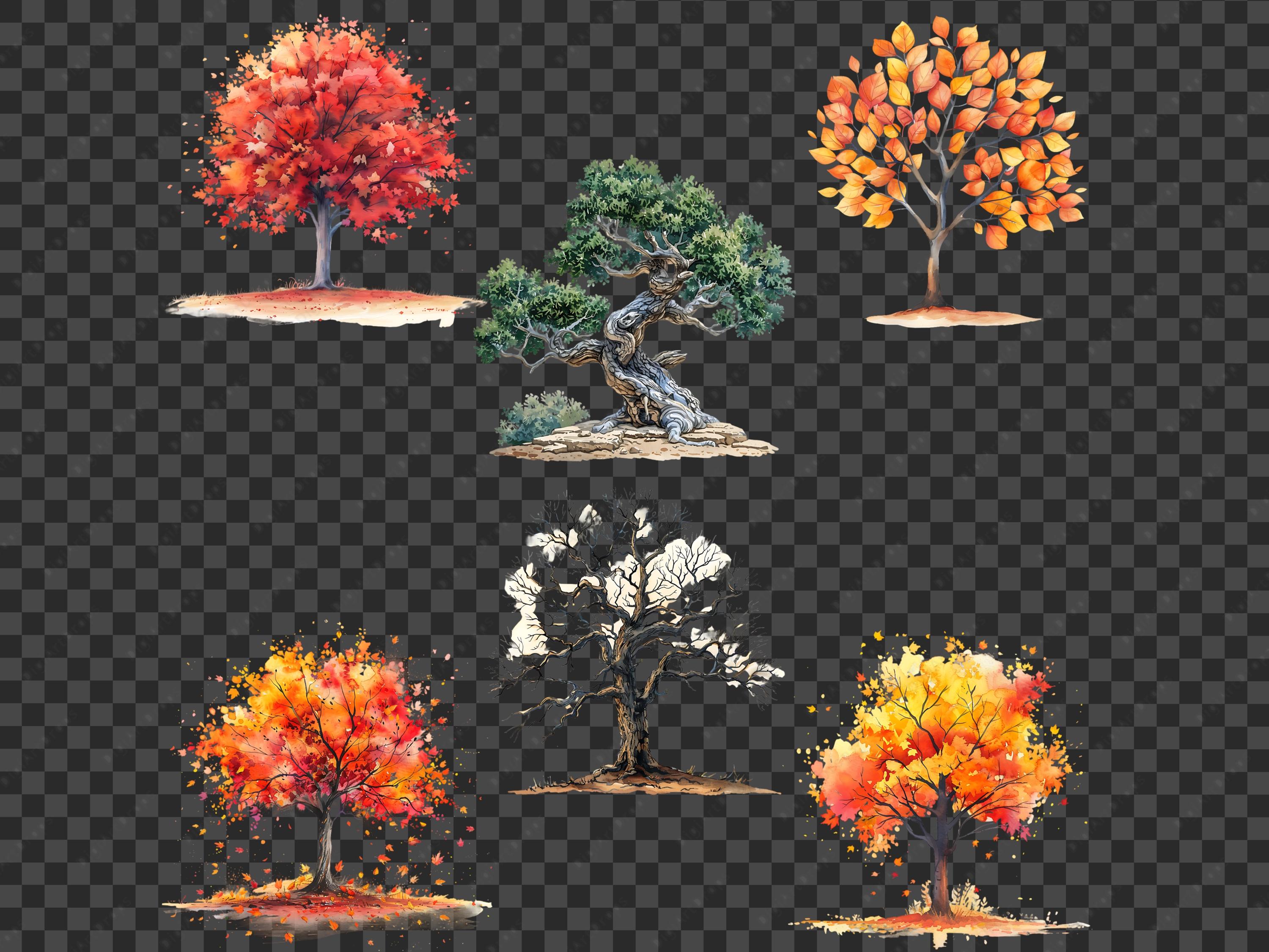 Forest Elements Clipart Bundle Trees Leaves Autumn Nature Digital Art ...