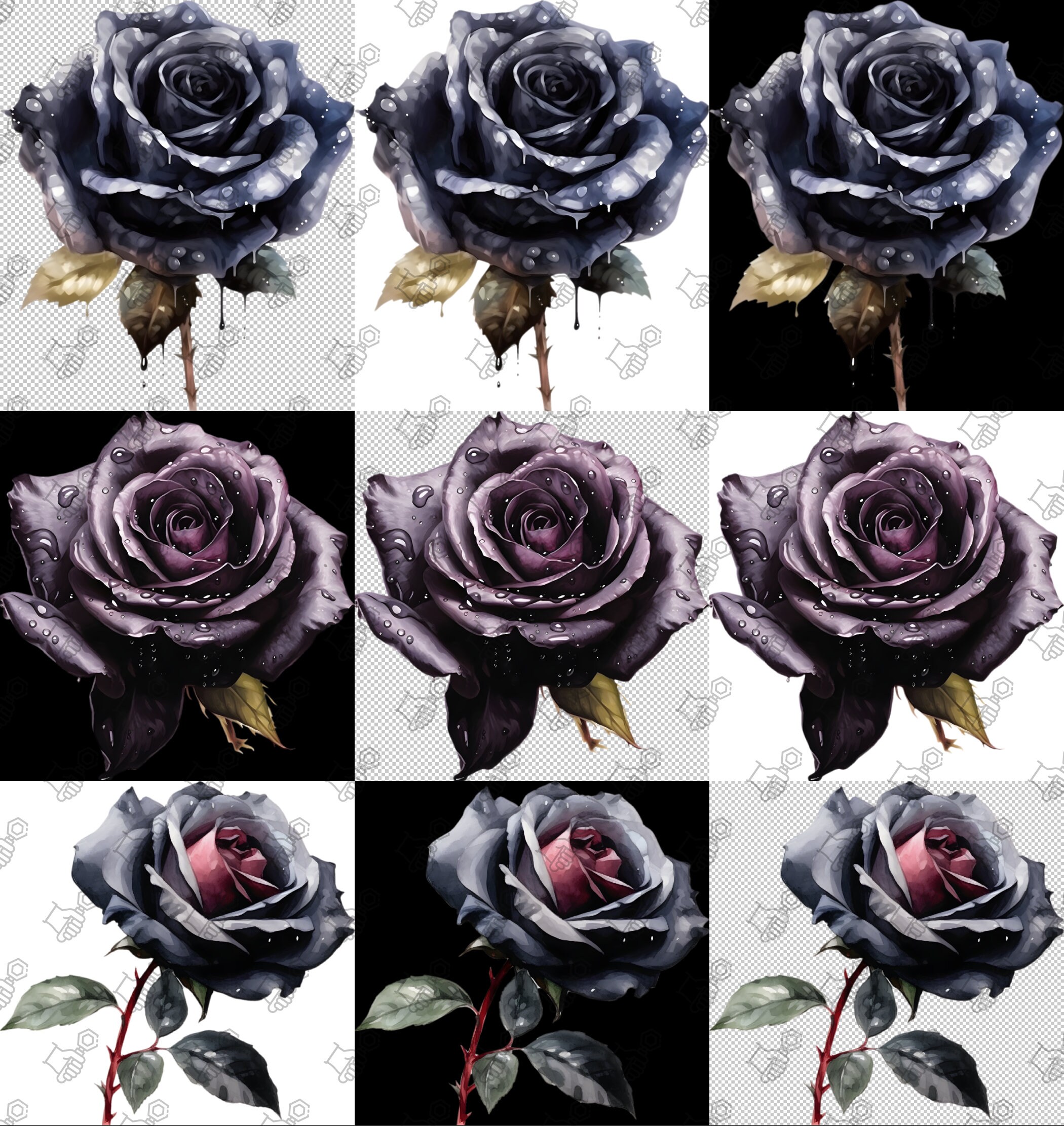 Watercolor Roses, Black Roses Clipart, Watercolor Flowers, Commercial ...