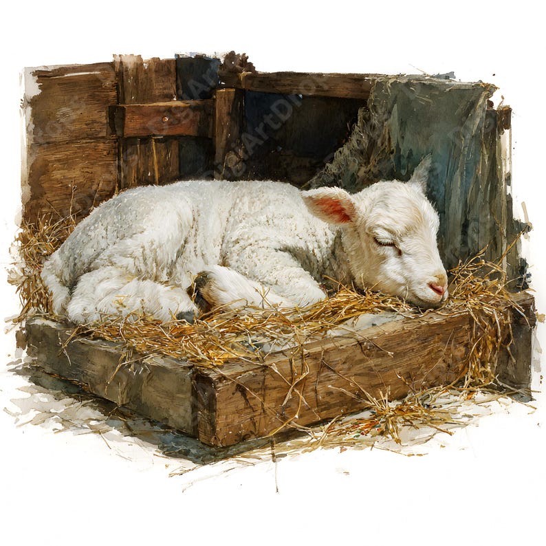 Christmas Lamb Watercolor Clipart – Manger Hay Scene, Rustic Nativity ...