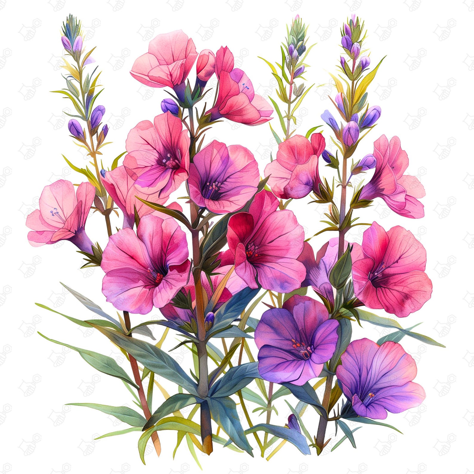 Fireweed Blossoms Watercolor Clipart Bundle 10 JPG Digital Download ...