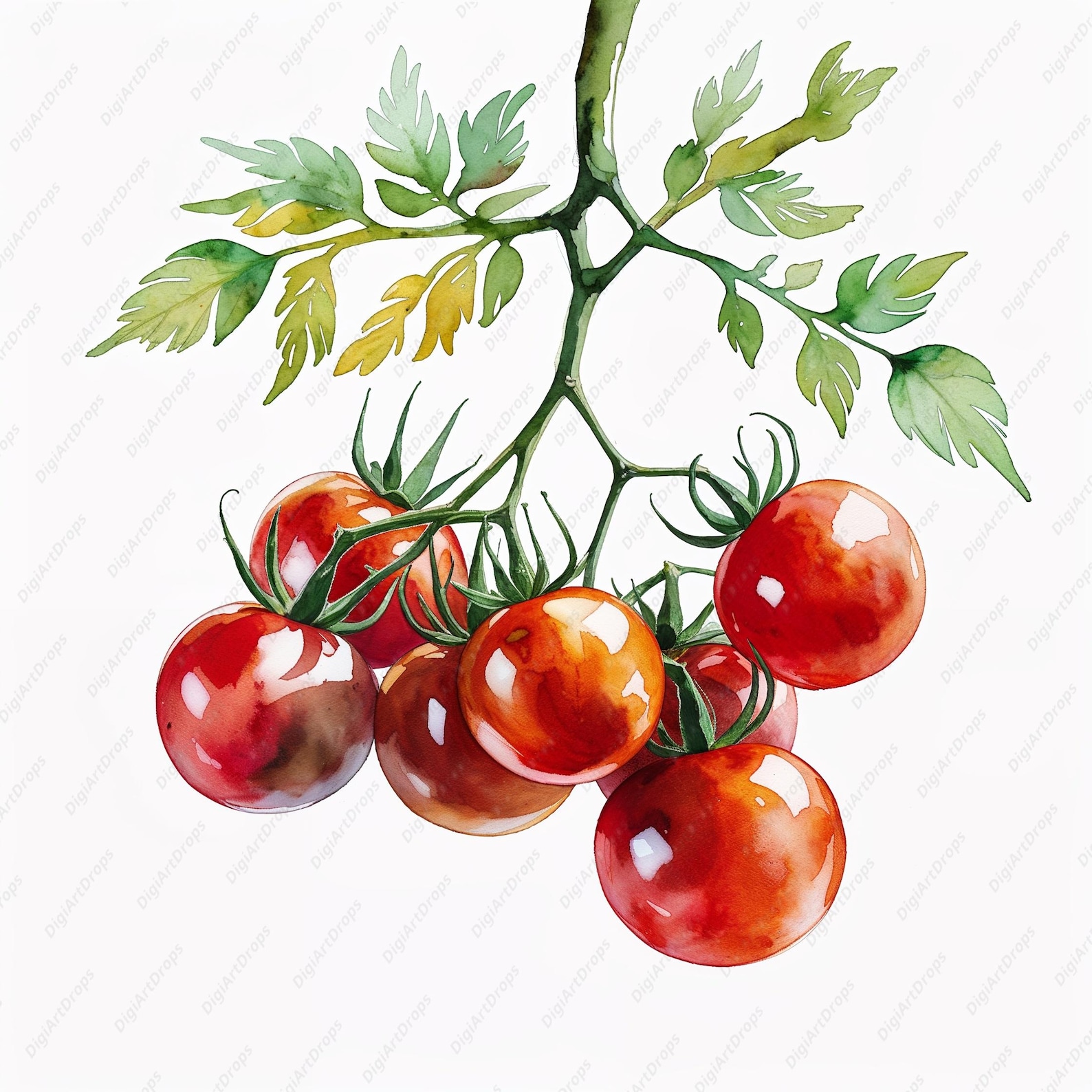 Cherry Tomato Clipart, Food Art Jpgs, Rustic Kitchen Decor, Botanical ...
