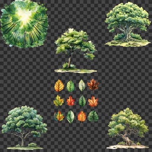 Forest Elements Clipart Bundle Trees Leaves Autumn Nature Digital Art ...