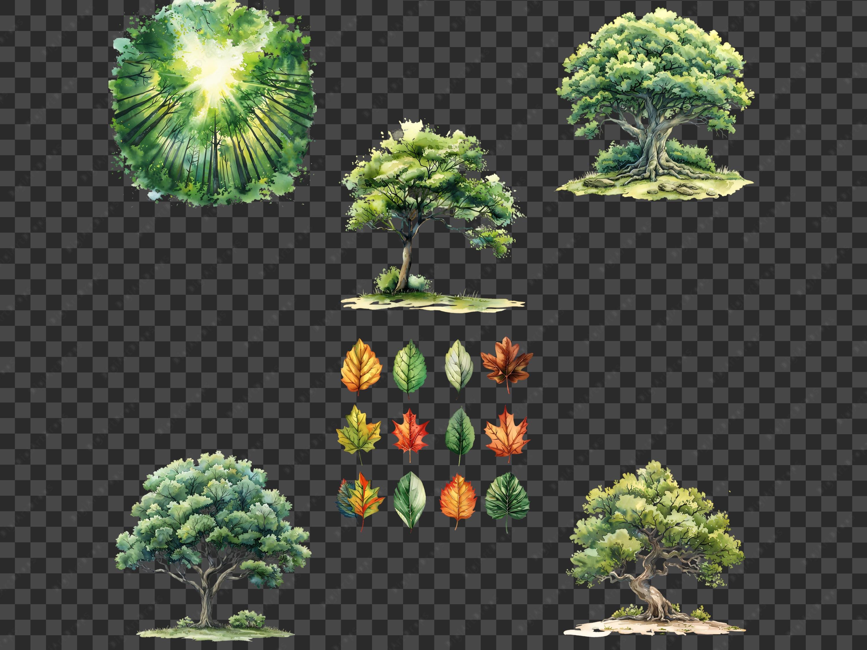 Forest Elements Clipart Bundle Trees Leaves Autumn Nature Digital Art ...