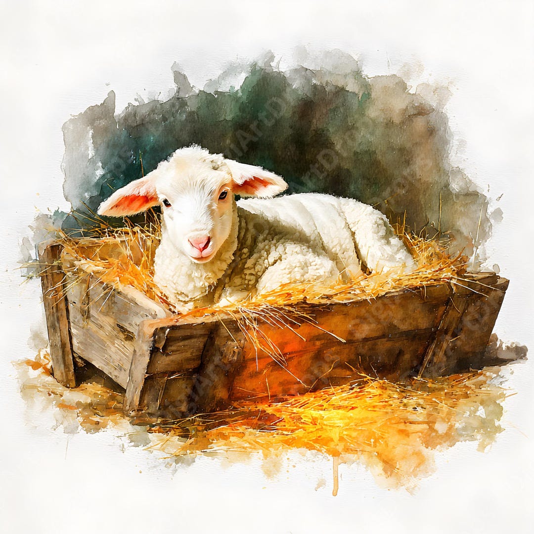 Christmas Lamb Watercolor Clipart – Manger Hay Scene, Rustic Nativity ...