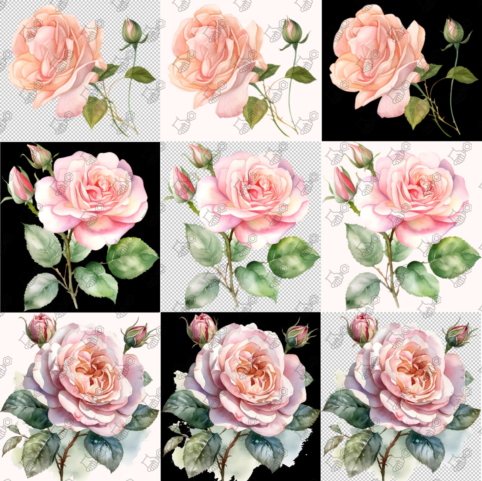 Watercolor Pink Roses Clipart Bundle 10 PNG Digital Download High ...