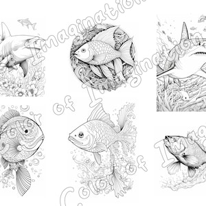 Fish Coloring Pages for Adults and Kids 34 Sheet Fish Coloring Book ...