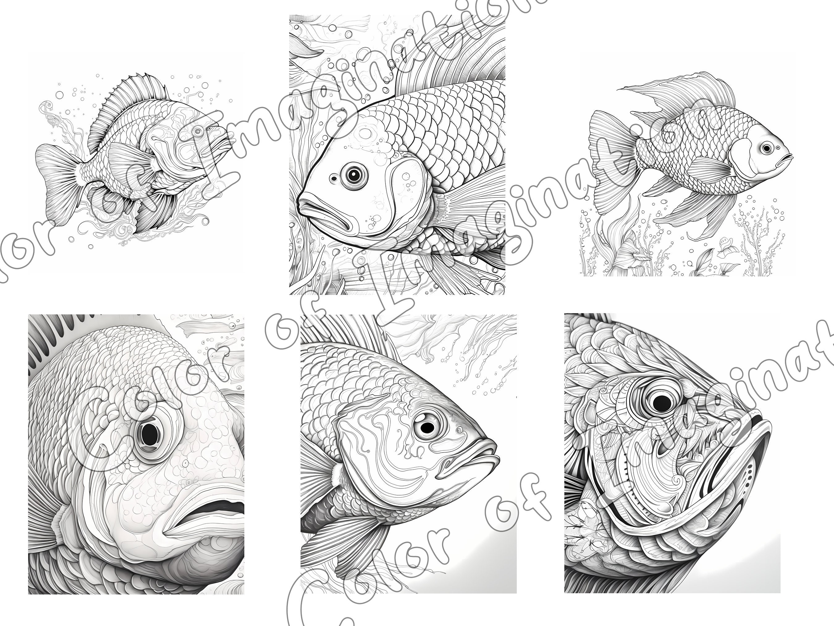 Fish Coloring Pages for Adults and Kids 34 Sheet Fish Coloring Book ...