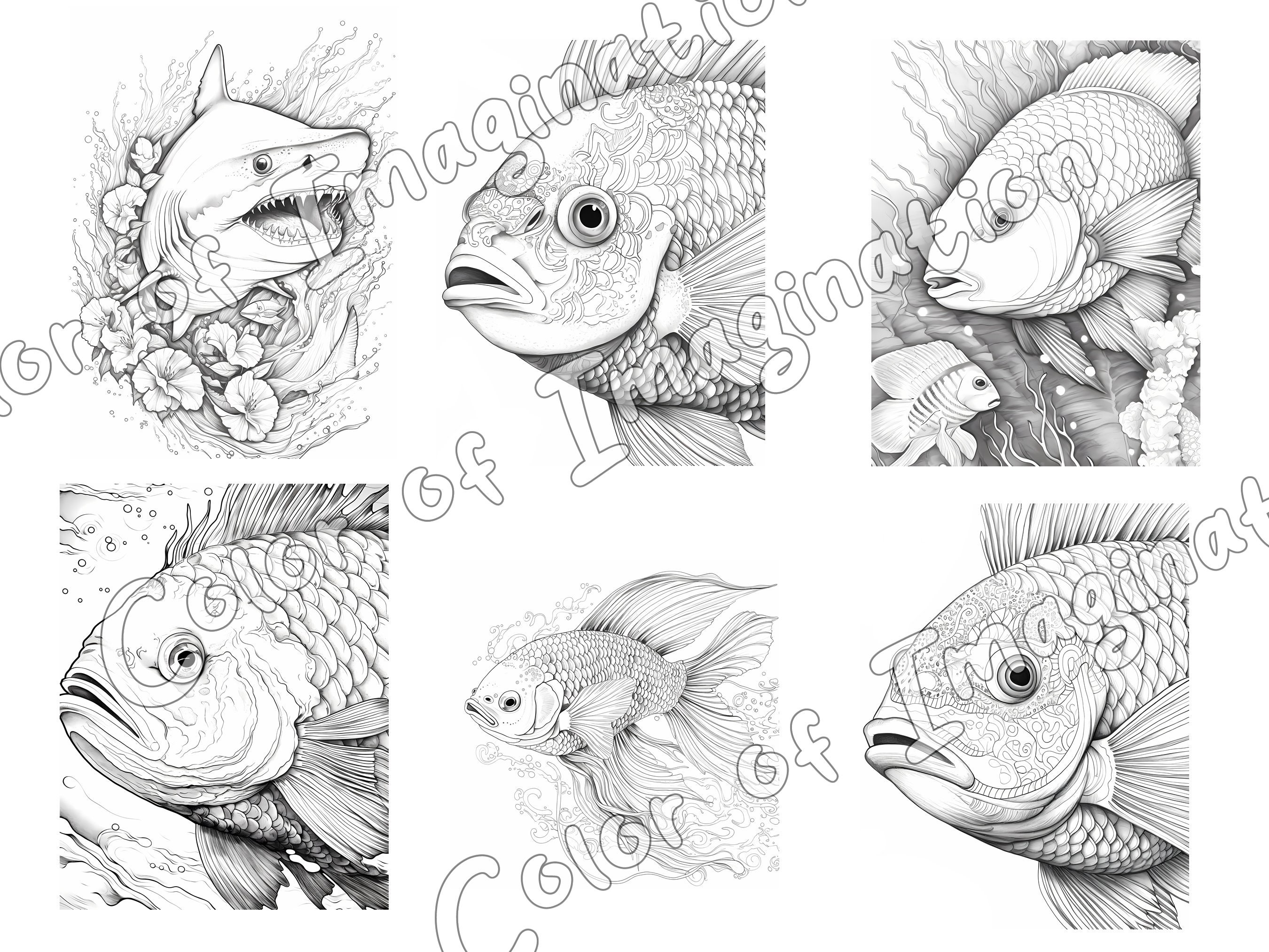 Fish Coloring Pages for Adults and Kids 30 Sheet Fish Coloring Ocean ...