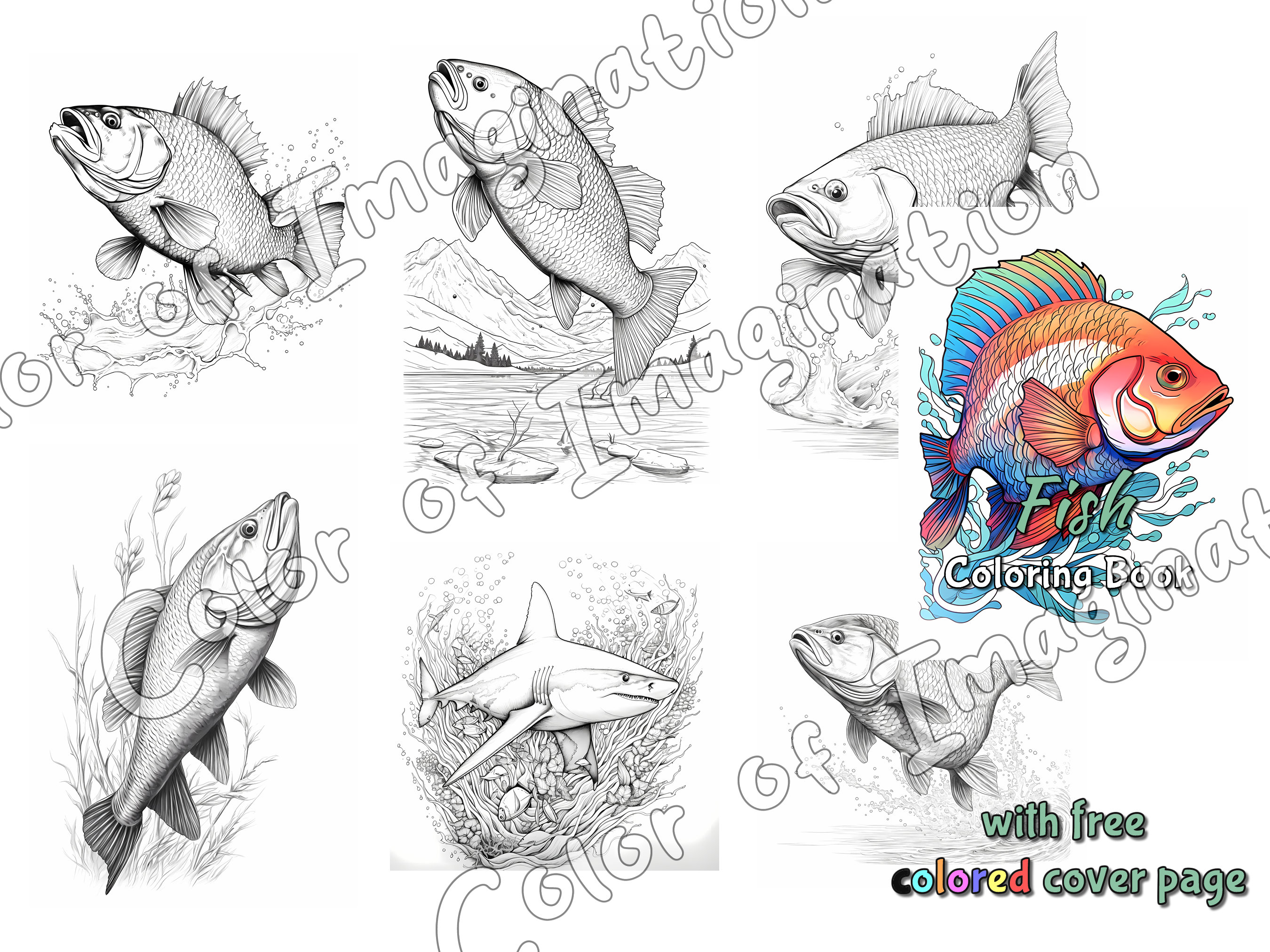 Fish Coloring Pages for Adults and Kids 30 Sheet Fish Coloring Ocean ...