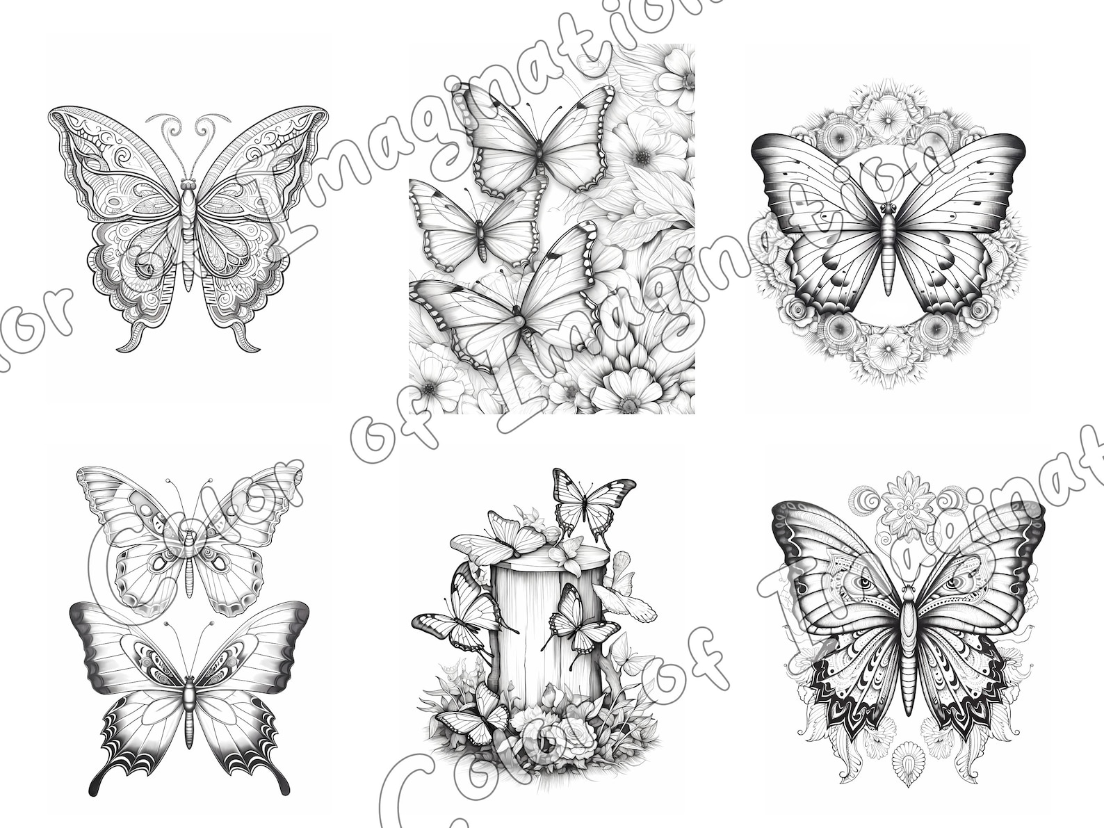 Butterfly Coloring Pages for Adults and Kids 30 Sheet Butterflies ...