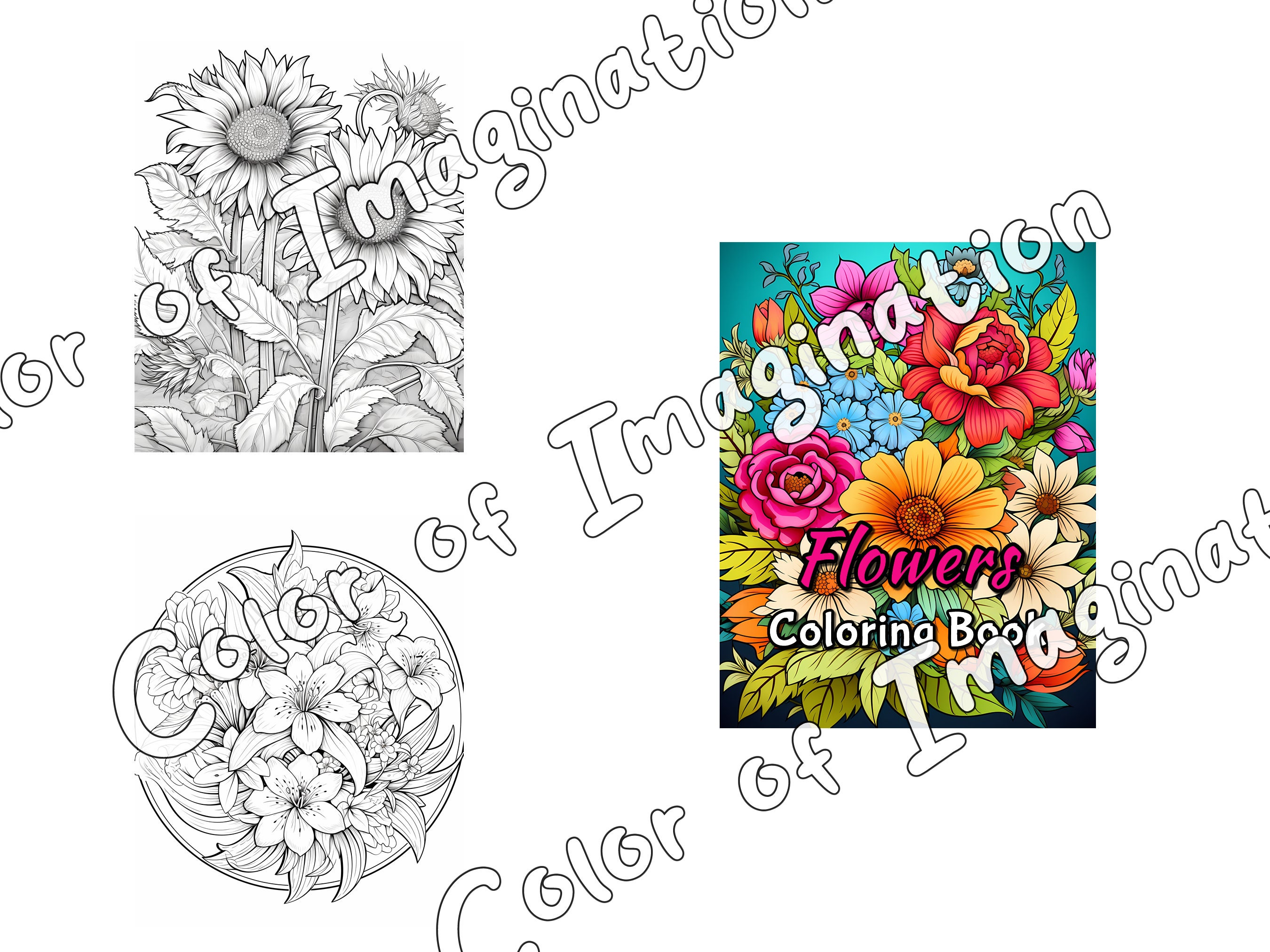 Flower Coloring Book for Adults 25 Kids Flower Coloring Pages Sunflower ...