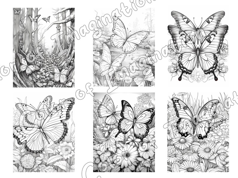 Butterfly Coloring Pages for Adults and Kids 30 Sheet Butterflies ...