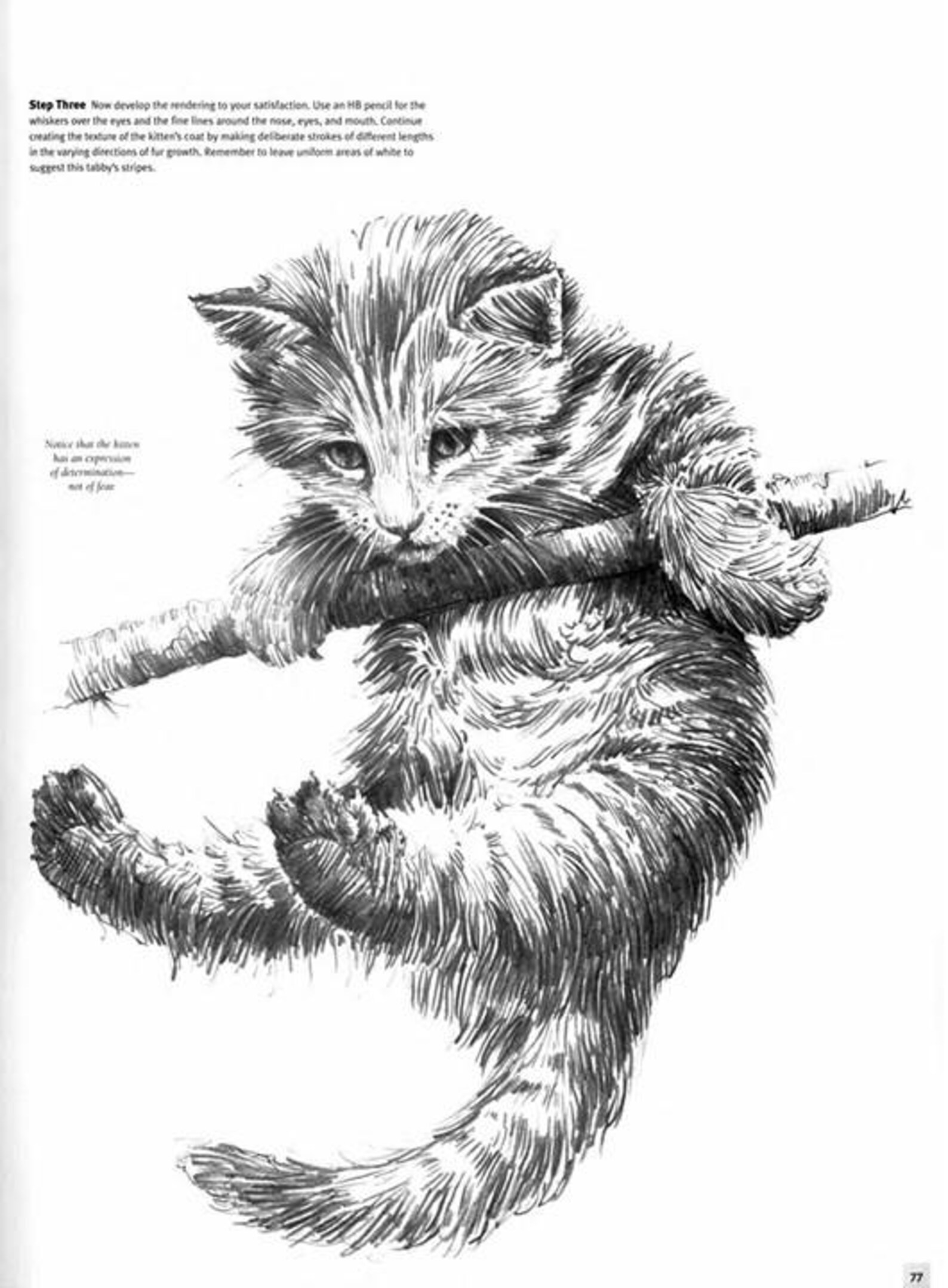 How to Draw Everything Full E Book - Etsy