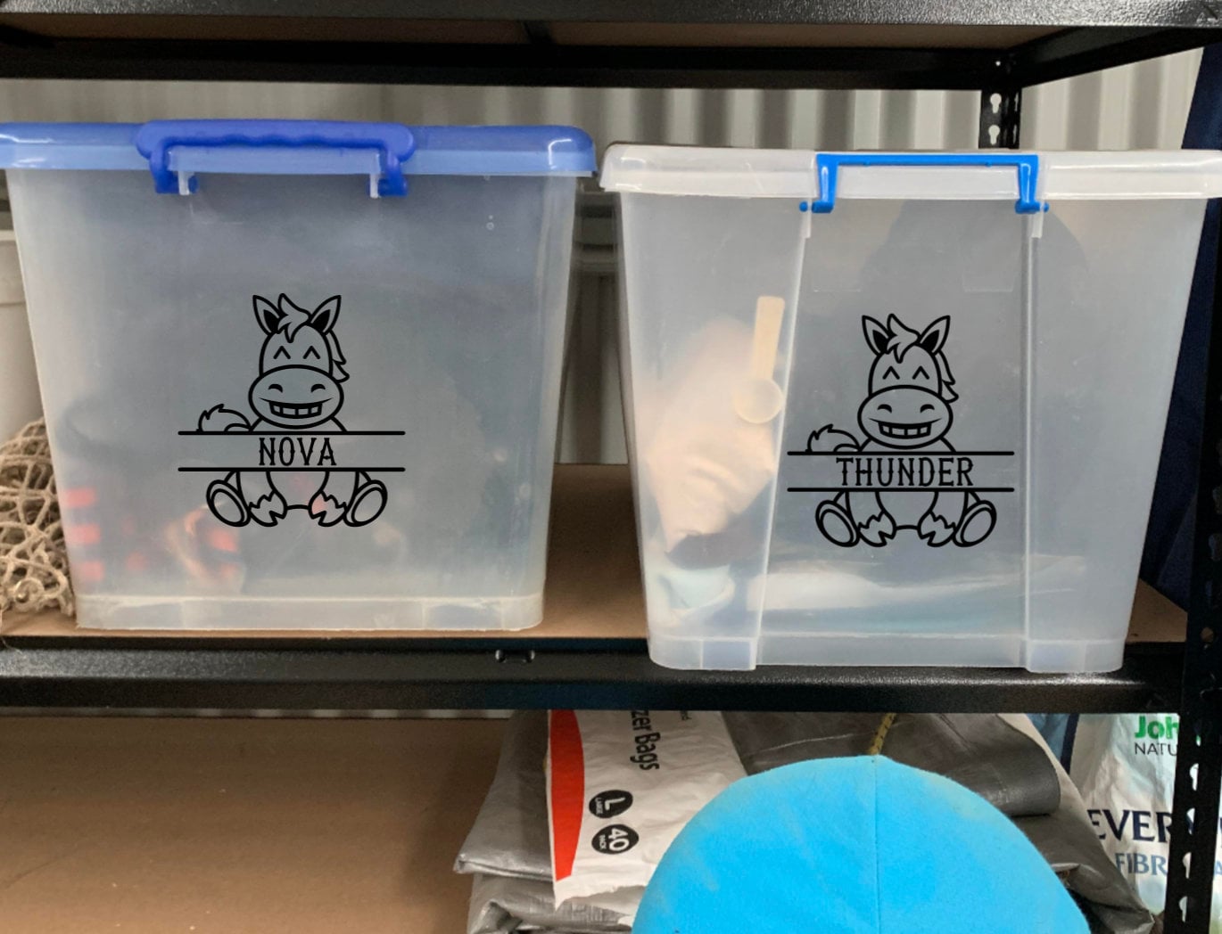 Custom Name Horse Float Decal Sticker; Horse Decal for Car, Float ...