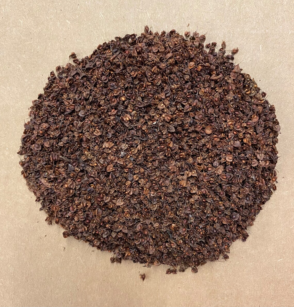 Yellow Curly Dock Seeds for Natural Dyeing or Flour - Etsy