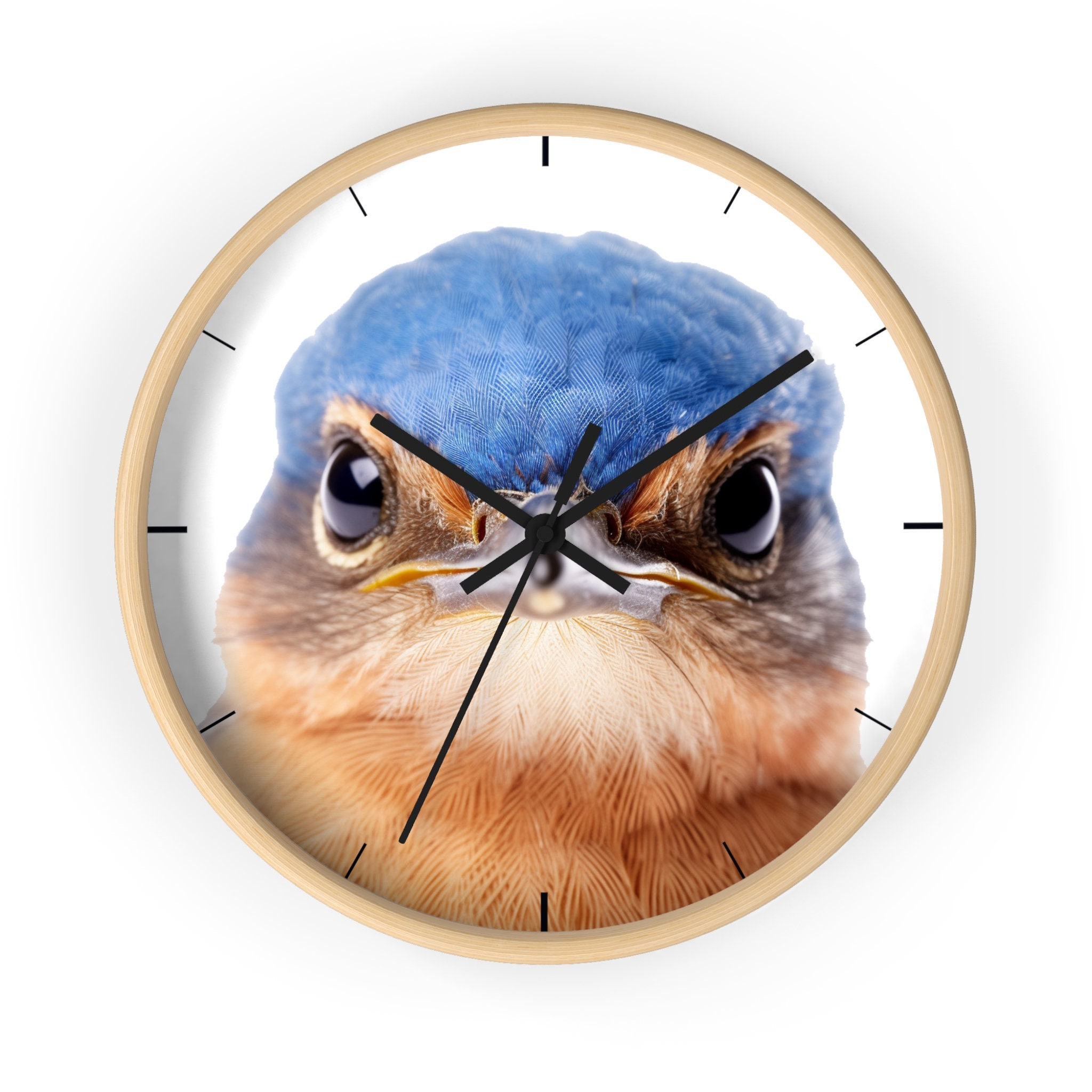 Bluebird Bird Face 10 Wall Clock - Etsy