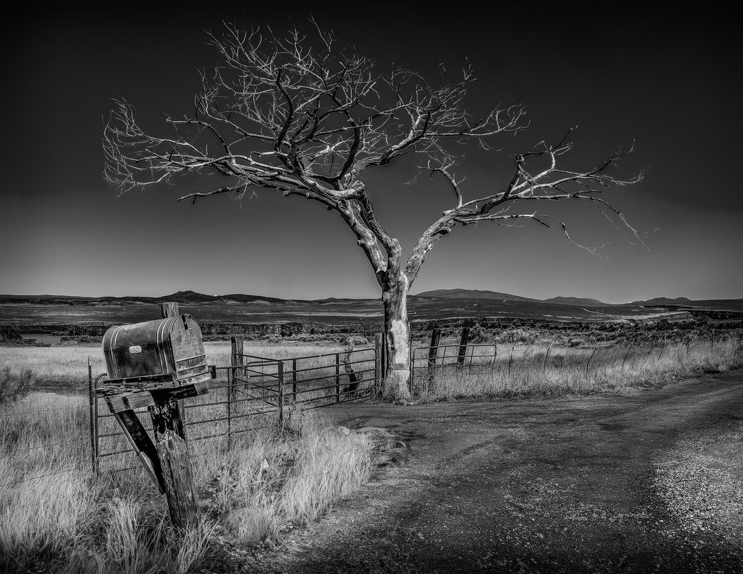 Road to Toas, BW Canvas Print, Wall Art, Taos Art, New Mexico, Fine Art ...