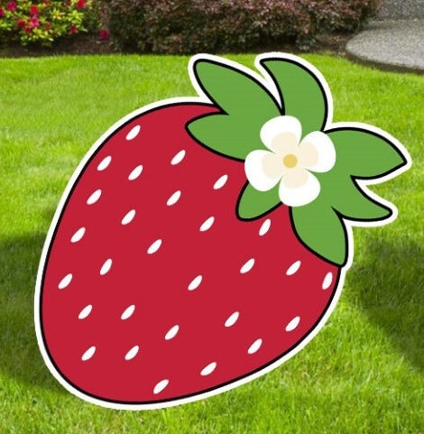 Strawberry Party Decor, Berry House, Strawberry Fruit, Strawberry ...