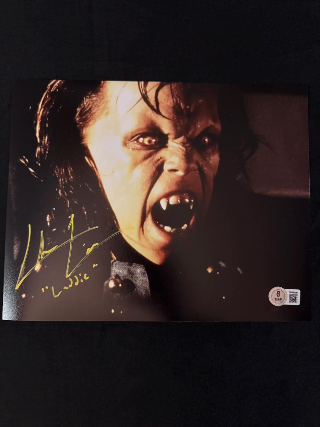 Chance Michael Corbitt the Lost Boys (laddie Inscribed) Signed 8x10 ...