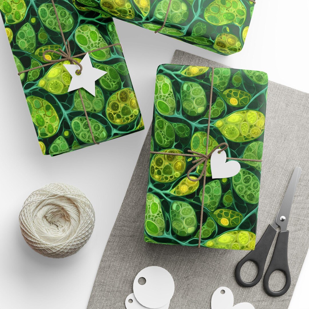 Plant Cell Chloroplast Gift Wrap Green Biology Wrapping Paper ...