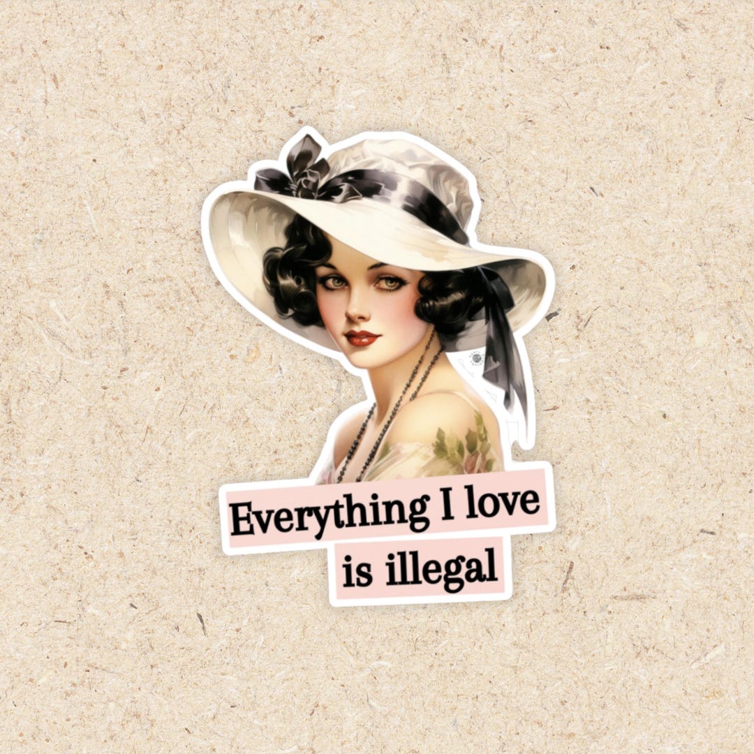 Funny Vinyl Stickers Waterproof Funny Decals Vintage Labels Die Cut ...