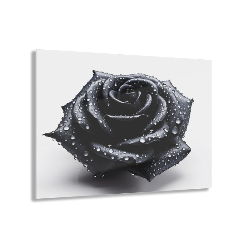 Black Rose Flower Acrylic Wall Art Modern Home Art Abstract Black Rose ...