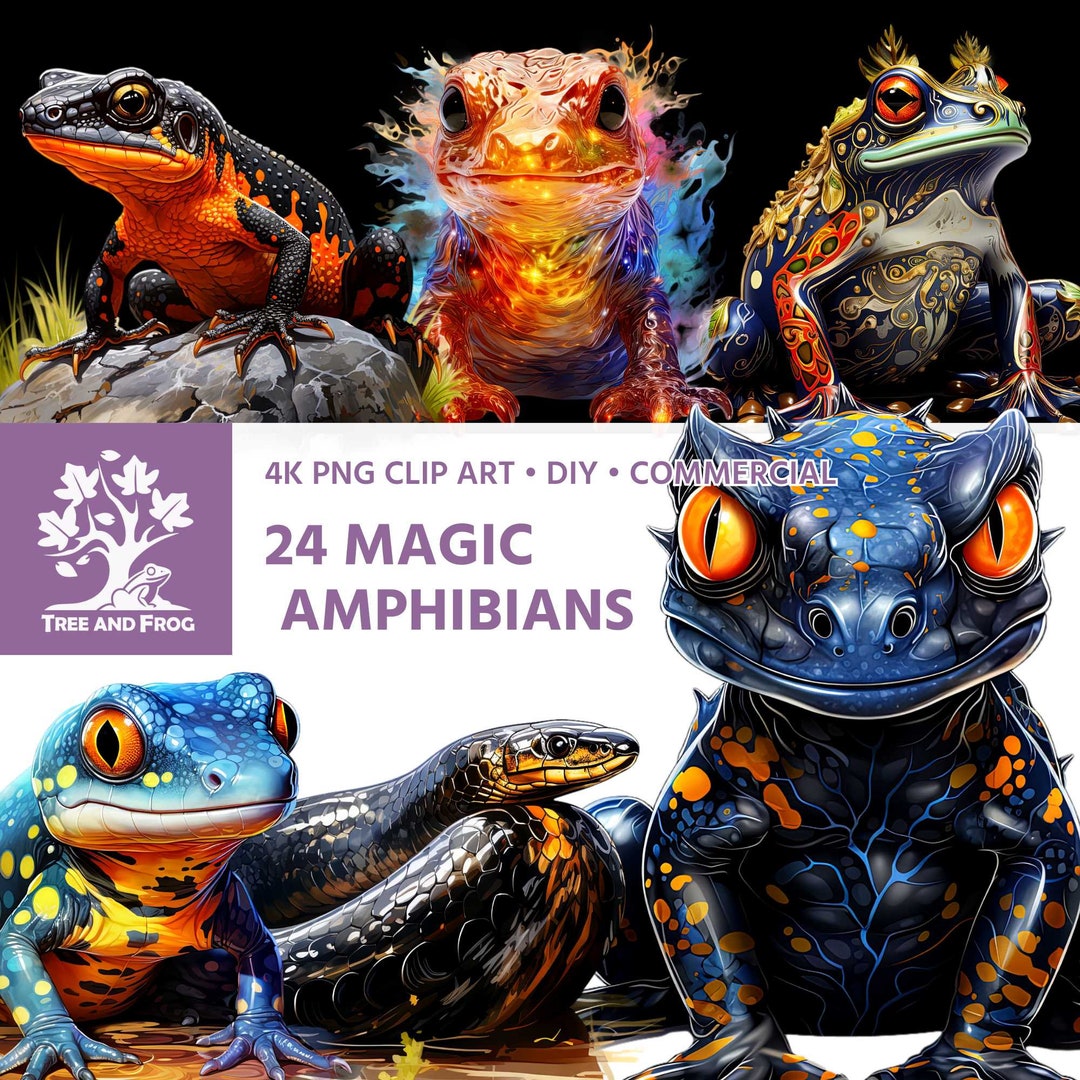 24 PNG Magic Amphibians Clipart Frog Toad Salamander Newt Caecilian ...
