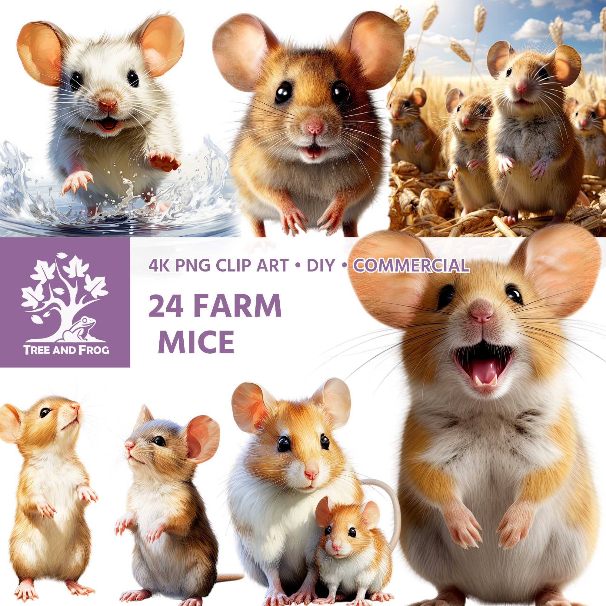 24 PNG Farm Mice Clipart Cute Baby Mouse Pose Scene - Etsy Canada