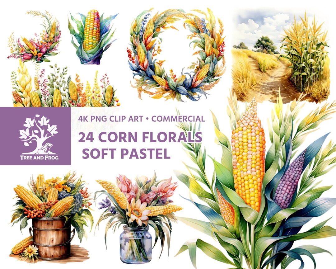 24 PNG Corn Soft Pastel Florals Clipart Prairie Grain Frame Boho Dusty ...