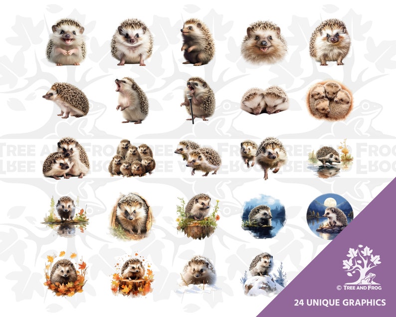 24 PNG Woodland Hedgehogs Clipart Cute and Baby Animal - Etsy