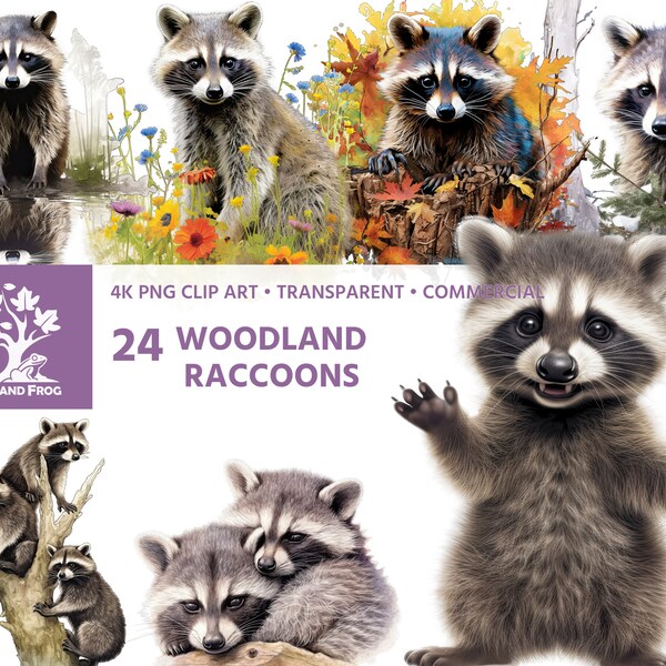 Raccoon Clipart - Etsy