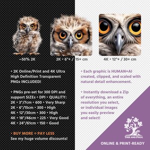 24 PNG Fantasy Axes Clipart Hatchet Viking Orc Dragon Celtic Dwarf ...